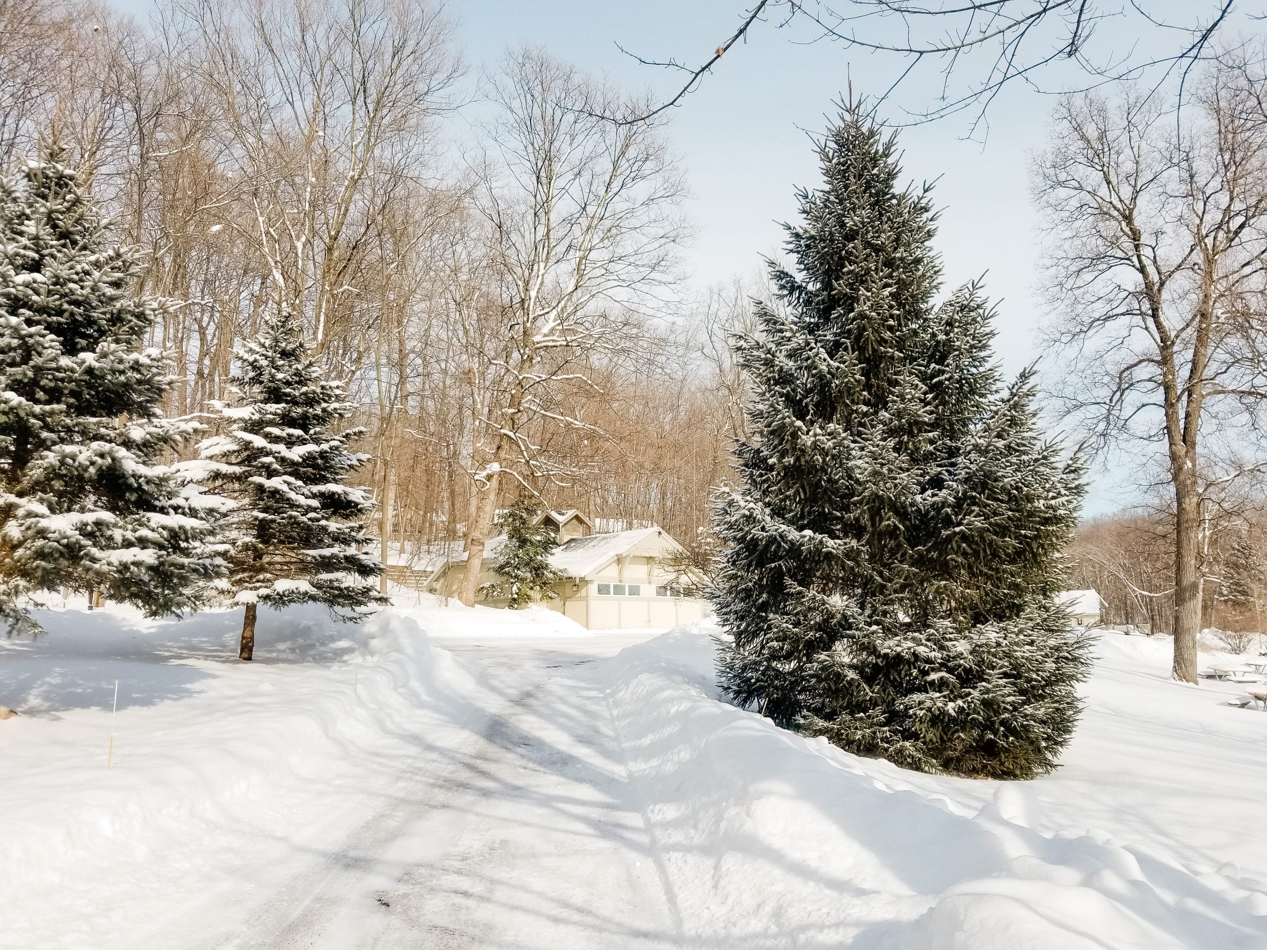Spending time in creation - Covenant Harbor